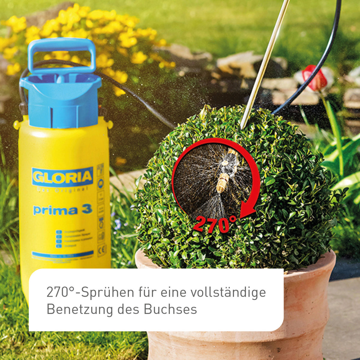 Anti-Zünsler Set Gloria prima 3 & Sprühlanze - Plantura Shop