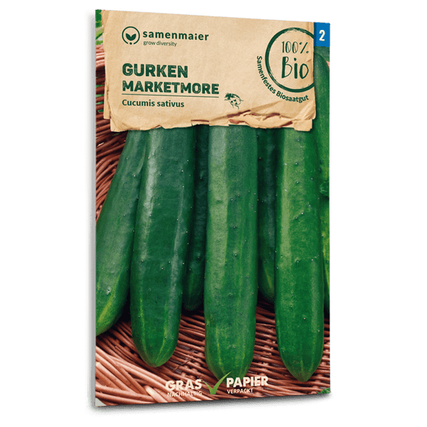 Gurke Marketmore Erfahrung