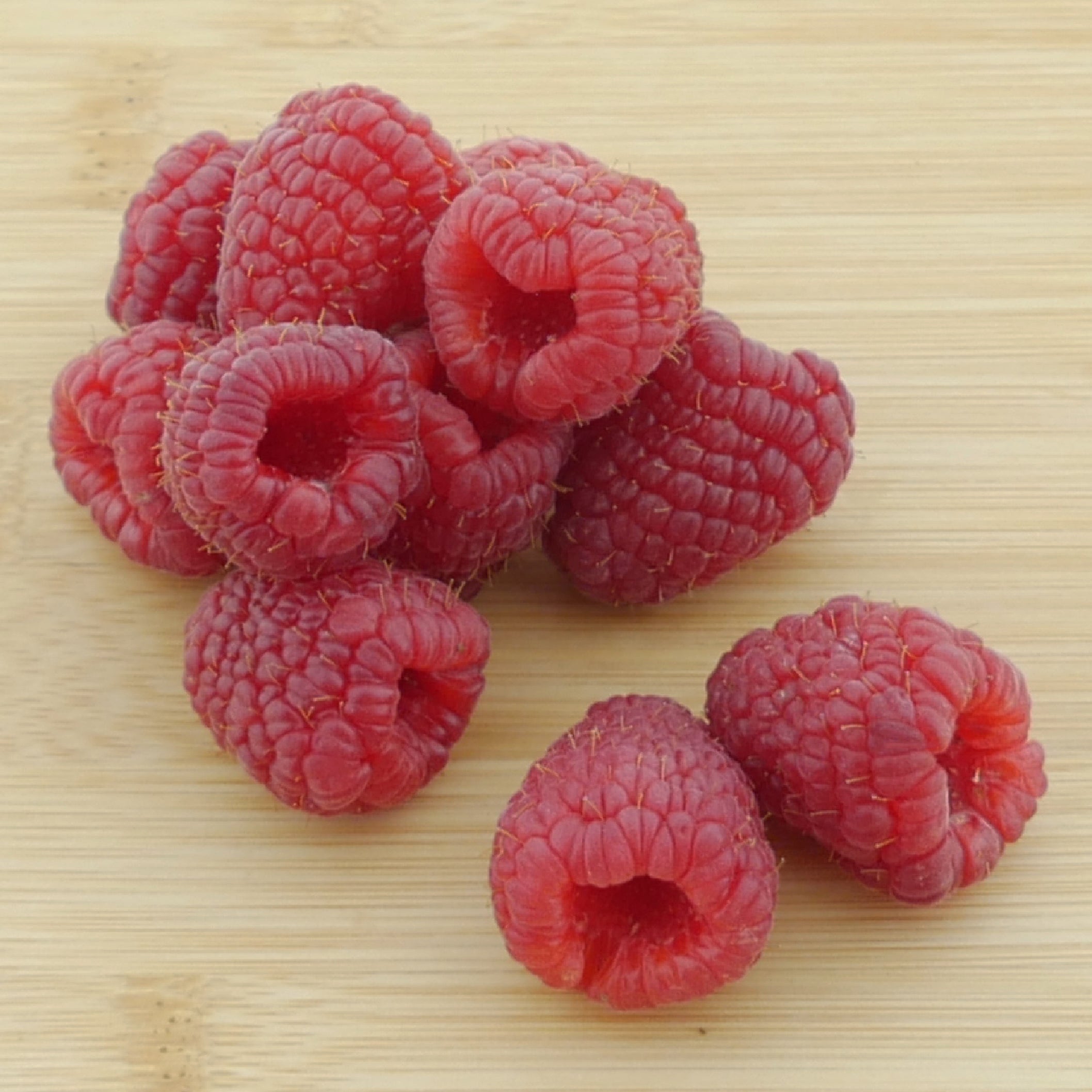 Bio-Himbeere 'Heritage' kaufen - Plantura Shop