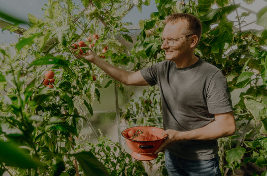 Plantura Shop - Mehr Natur für Zuhause
