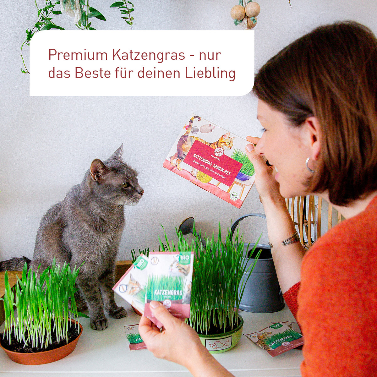 Bio-Katzengras Samen-Set kaufen - Plantura Shop