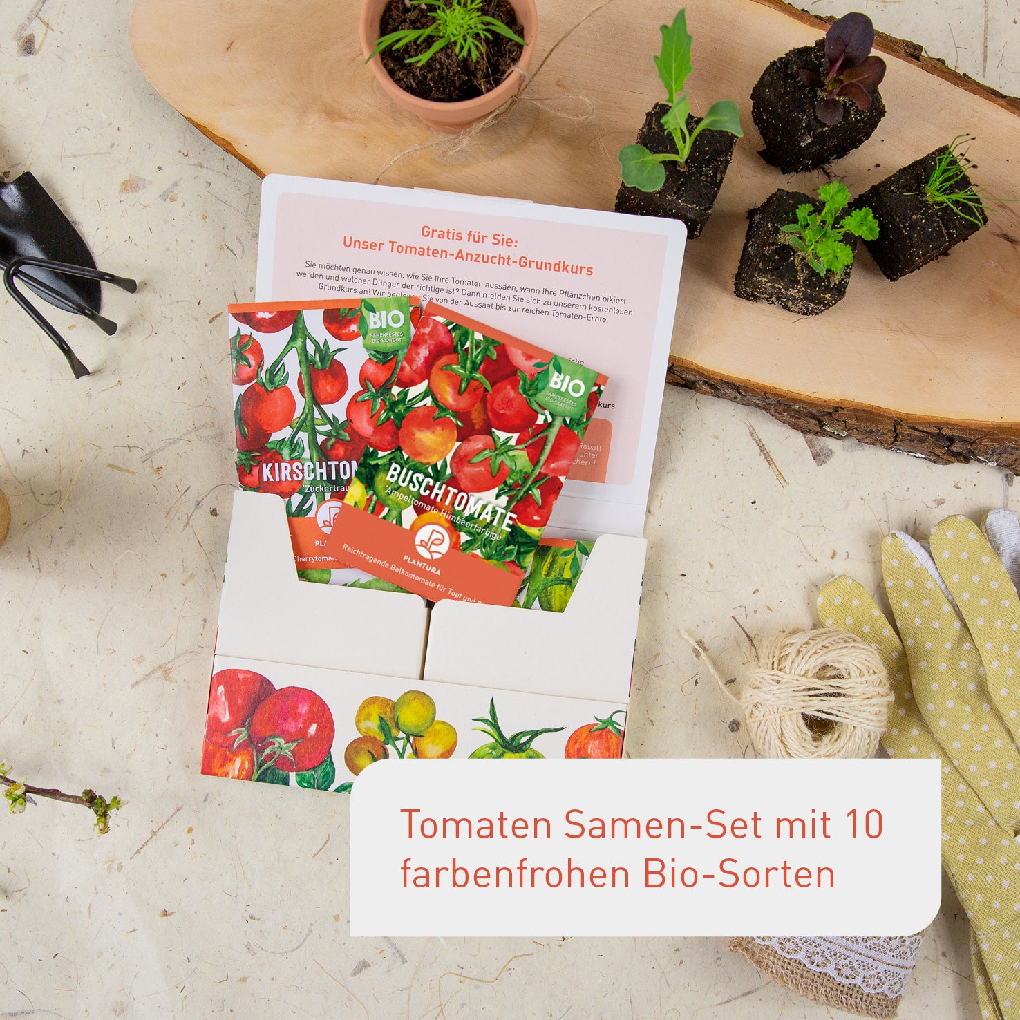 Bio-Tomaten Samen-Set kaufen - Plantura Shop