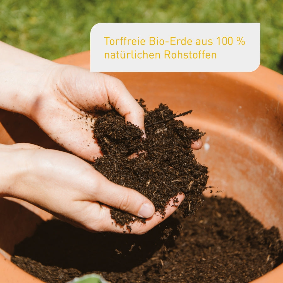 Bio-Blumenerde kaufen - Plantura Shop